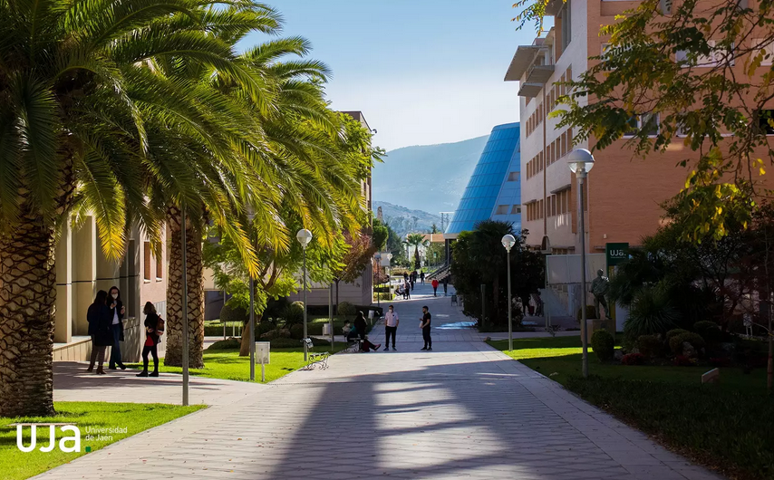 La Universidad de Jaén, primera de España que produce el 20% de la ...